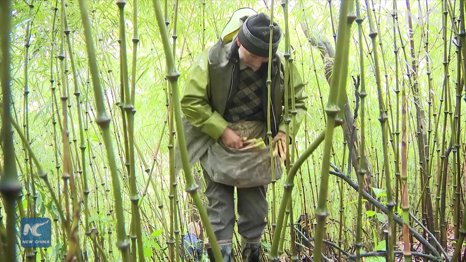 Bamboo industry benefits locals' lives in SW China-China Story